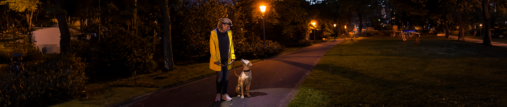 Flashlights for dog walking | Ledlenser