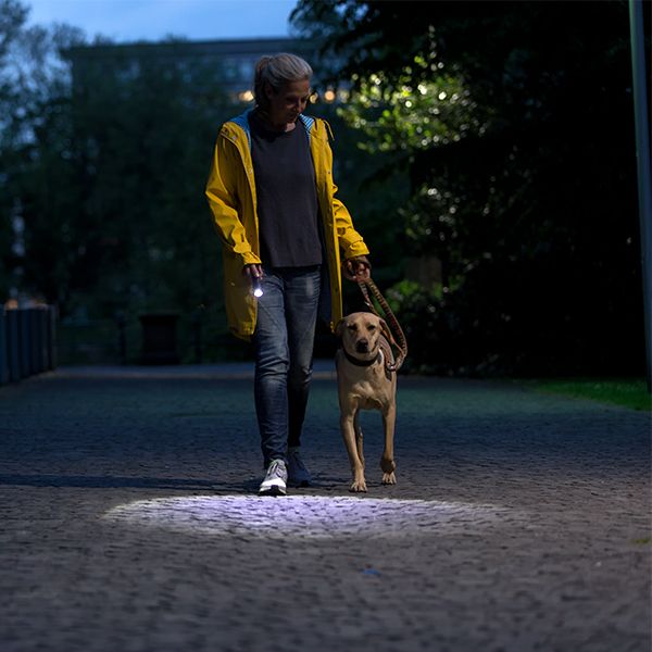 Flashlights for dog walking | Ledlenser
